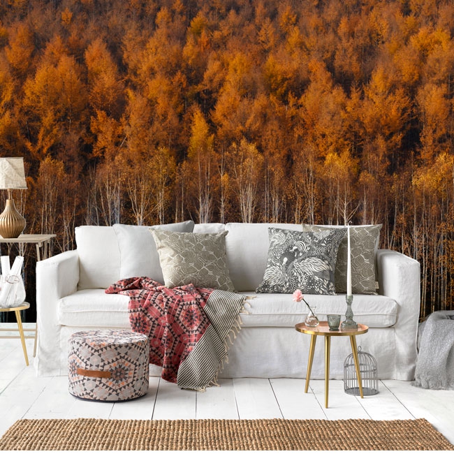 🥇 Wall mural or wallpaper horizontal landscape trees forest autumn ...